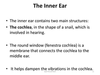Ear Anatomy & Physiology | PPT