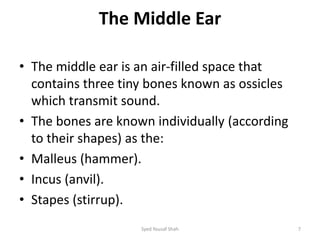 Ear Anatomy & Physiology | PPT