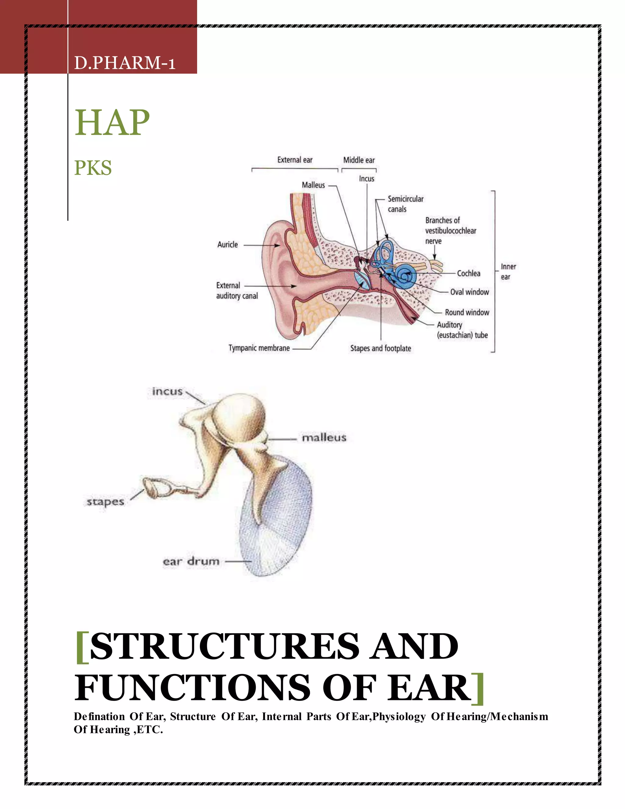 Human Ear | DOCX