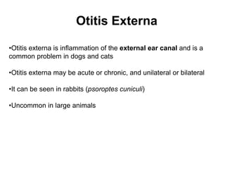 Diseases of ear in animals | PPT