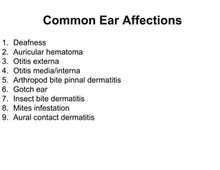 Diseases of ear in animals | PPT