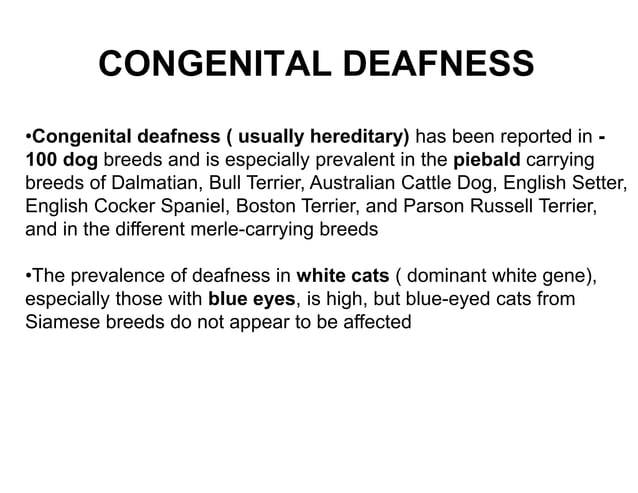 Diseases of ear in animals | PPT