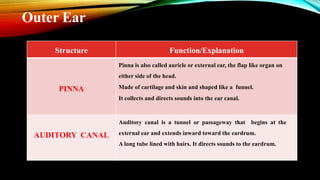 Human Ear | PPTX | Ear, Nose and Throat Conditions | Diseases and ...