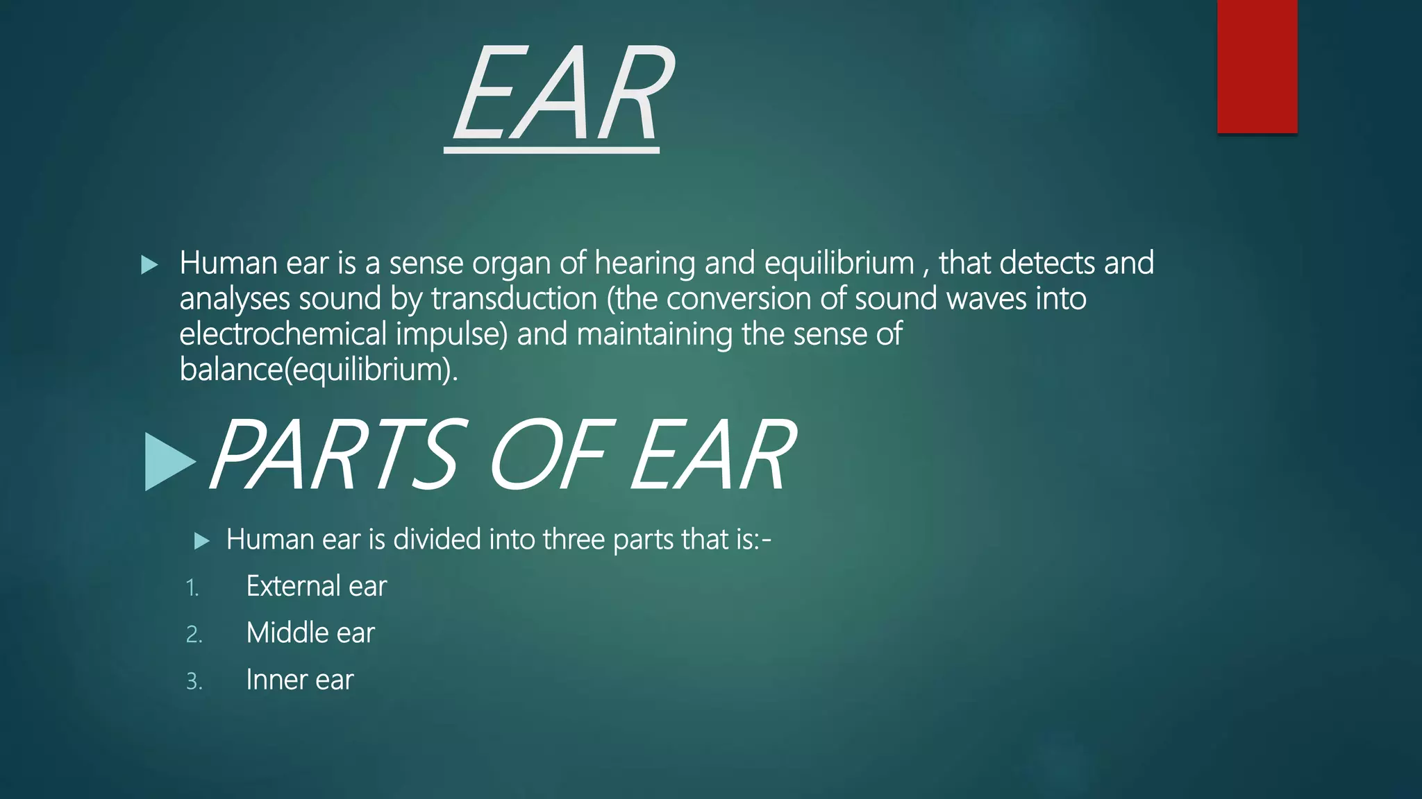 EAR// Sense Organ | PPTX