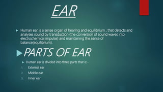 EAR// Sense Organ | PPT