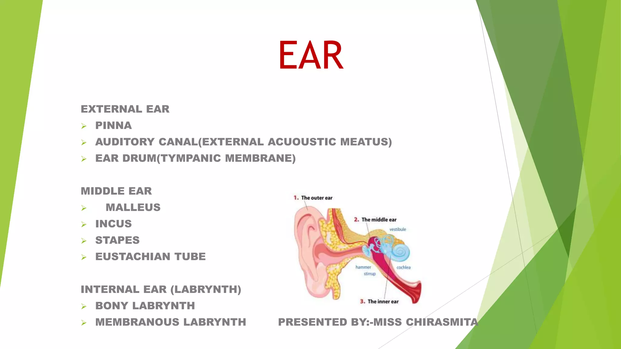 EAR.pptx