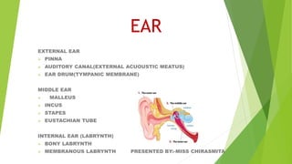 EAR.pptx