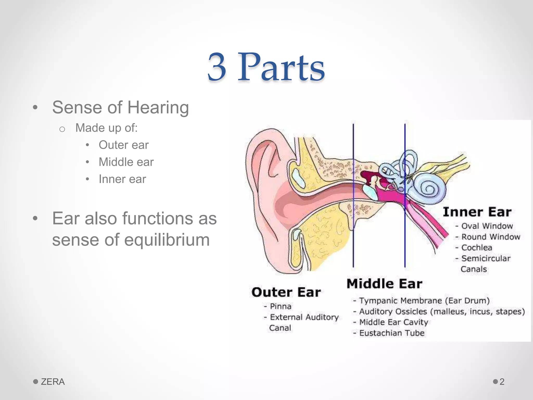 EAR.ppt