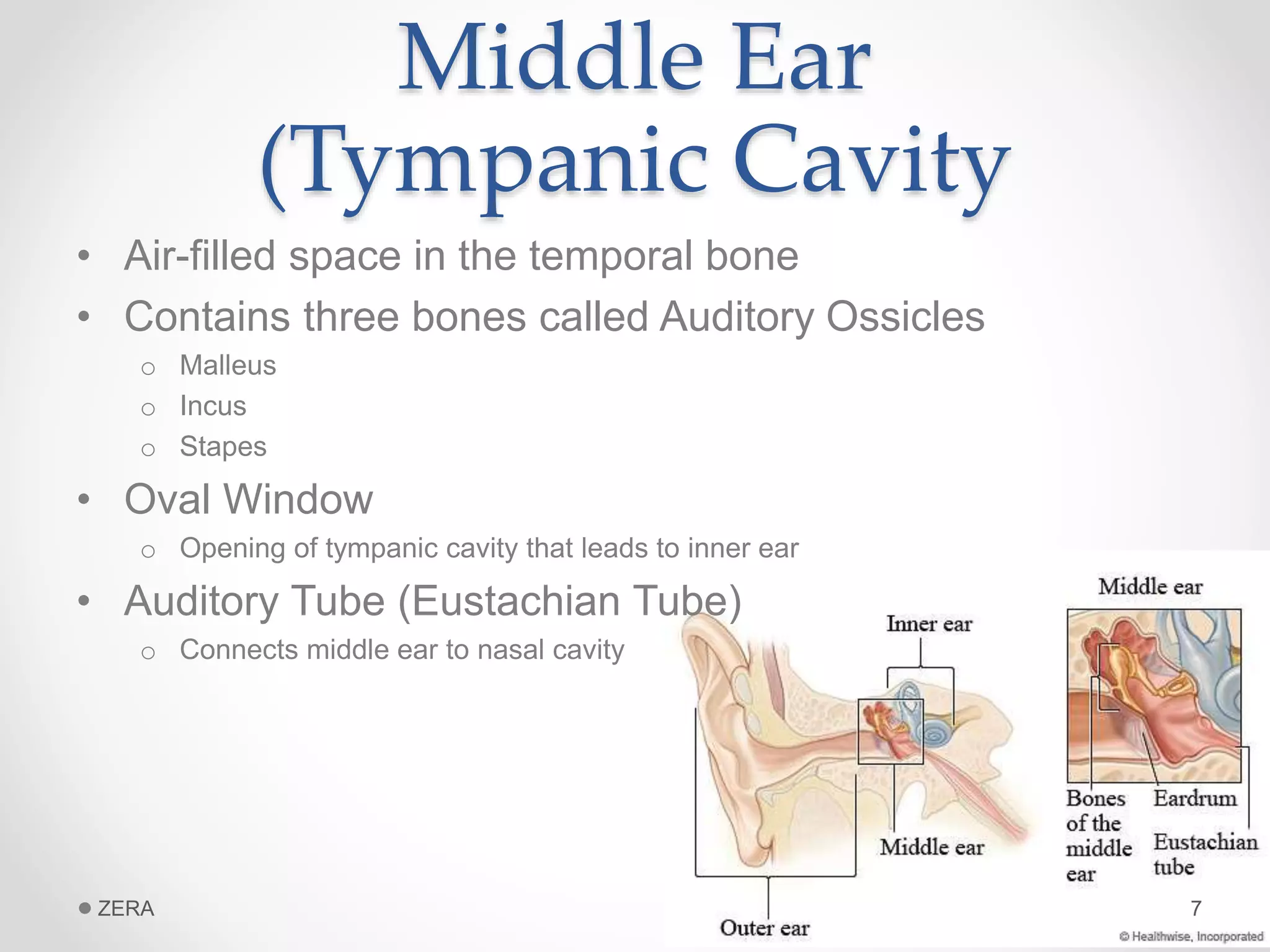 EAR.ppt