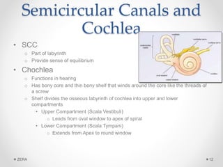 EAR.ppt