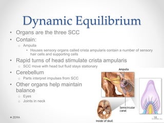 EAR.ppt