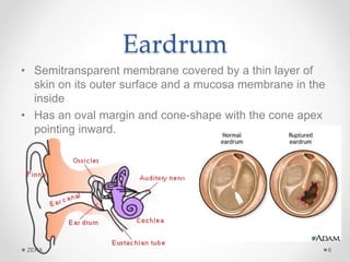 EAR.ppt