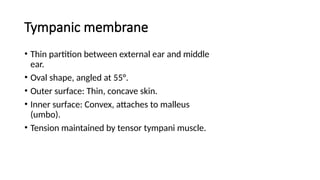 Ear presentation by Dr Ela kinra…………………. | PPTX | Ear, Nose and Throat ...