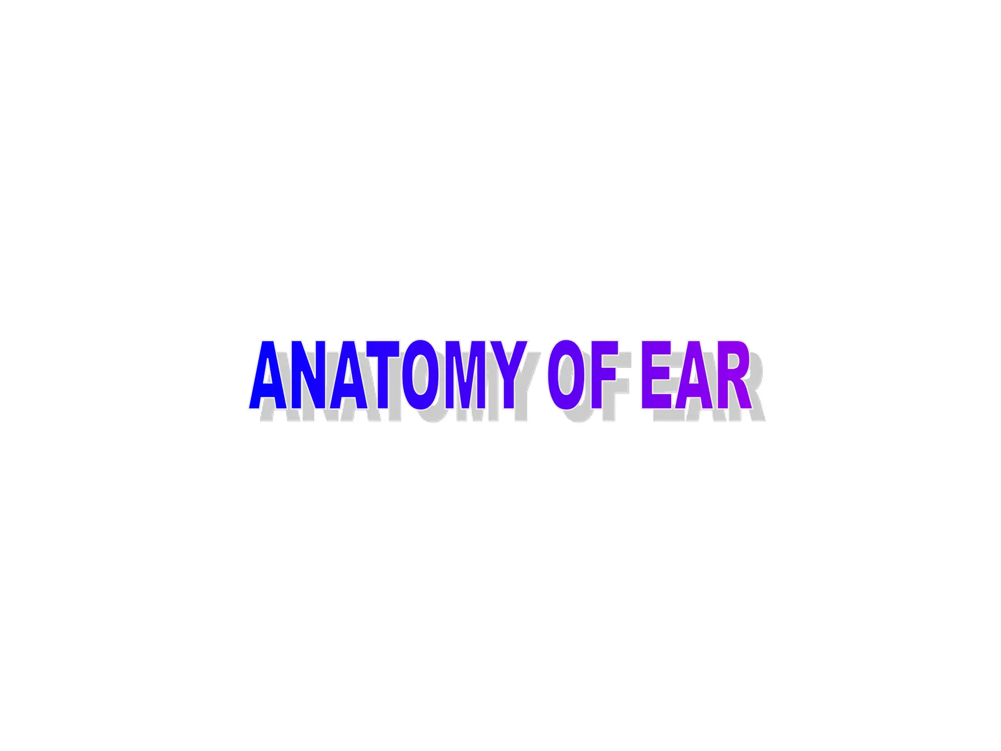 Anatomy of ear of animals and their role | PPT