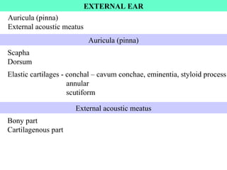 Anatomy of ear of animals and their role | PPT