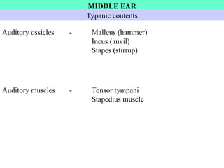 Anatomy of ear of animals and their role | PPT