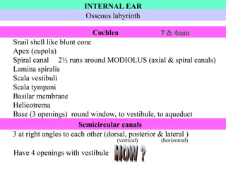 Anatomy of ear of animals and their role | PPT