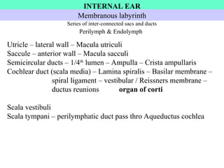 Anatomy of ear of animals and their role | PPT