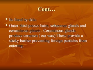 CONCISE ANATOMY OF THE HUMAN EAR FOR GRADUATE STUDENTS | PPT