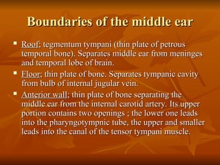 CONCISE ANATOMY OF THE HUMAN EAR FOR GRADUATE STUDENTS | PPT