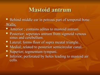 CONCISE ANATOMY OF THE HUMAN EAR FOR GRADUATE STUDENTS | PPT