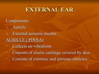 CONCISE ANATOMY OF THE HUMAN EAR FOR GRADUATE STUDENTS | PPT