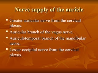 CONCISE ANATOMY OF THE HUMAN EAR FOR GRADUATE STUDENTS | PPT