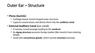 EAR Introduction, Functions, Uses, Importance | PPTX
