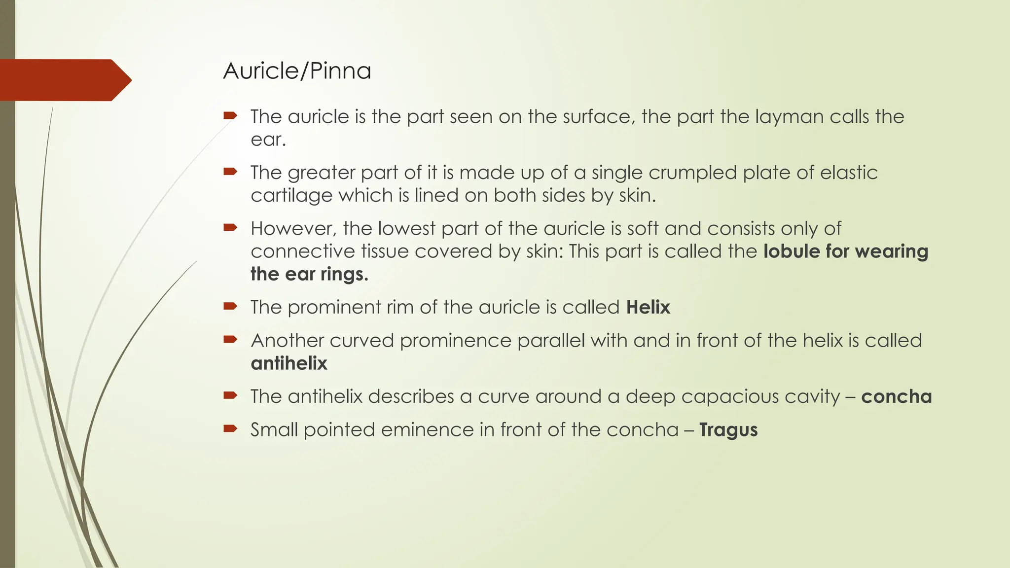 EAR.pptxhcufifjgufufkzjzjduzuitskufjsykfjzk | PPTX