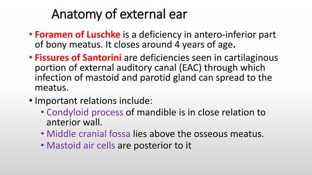 EAR-ANATOMY.pdf