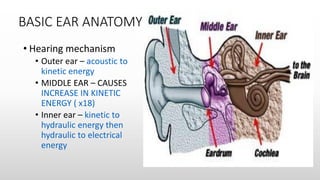 EAR-ANATOMY.pdf
