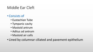 EAR-ANATOMY.pdf | Ear, Nose and Throat Conditions | Diseases and Conditions