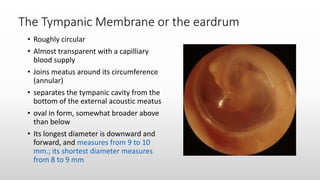 EAR-ANATOMY.pdf