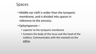 EAR-ANATOMY.pdf