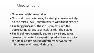 EAR-ANATOMY.pdf