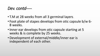 EAR-ANATOMY.pdf