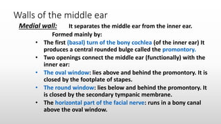 EAR-ANATOMY.pdf