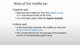 EAR-ANATOMY.pdf | Ear, Nose and Throat Conditions | Diseases and Conditions