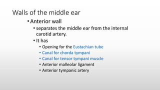 EAR-ANATOMY.pdf