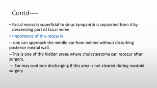EAR-ANATOMY.pdf | Ear, Nose and Throat Conditions | Diseases and Conditions