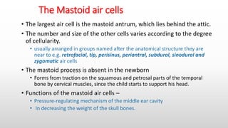 EAR-ANATOMY.pdf