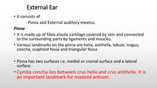 EAR-ANATOMY.pdf | Ear, Nose and Throat Conditions | Diseases and Conditions