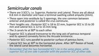EAR-ANATOMY.pdf