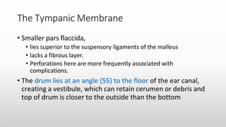 Anatomy of the Internal Ear -Medical Presentation | PPTX