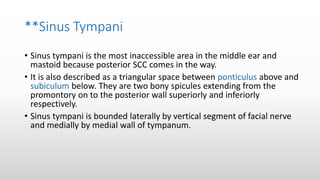 EAR-ANATOMY , anatomy of ear in human notes by Rahul | PDF