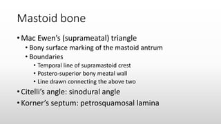 EAR-ANATOMY , anatomy of ear in human notes by Rahul | PDF