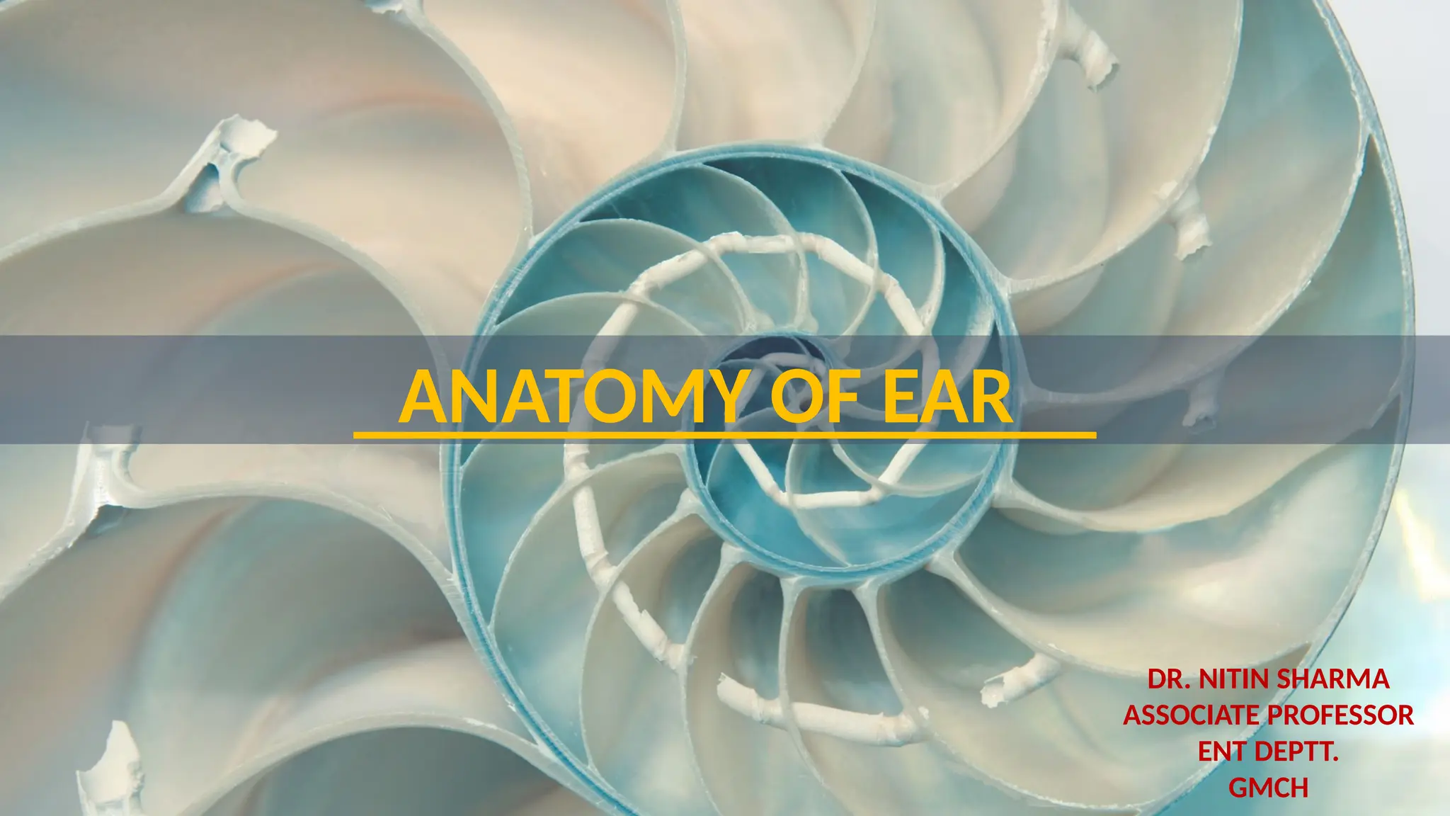 Ear-Anatomy otorhinolaryngologyyyyyyyyyyyyyyyyyyyyyyy2022.pptx