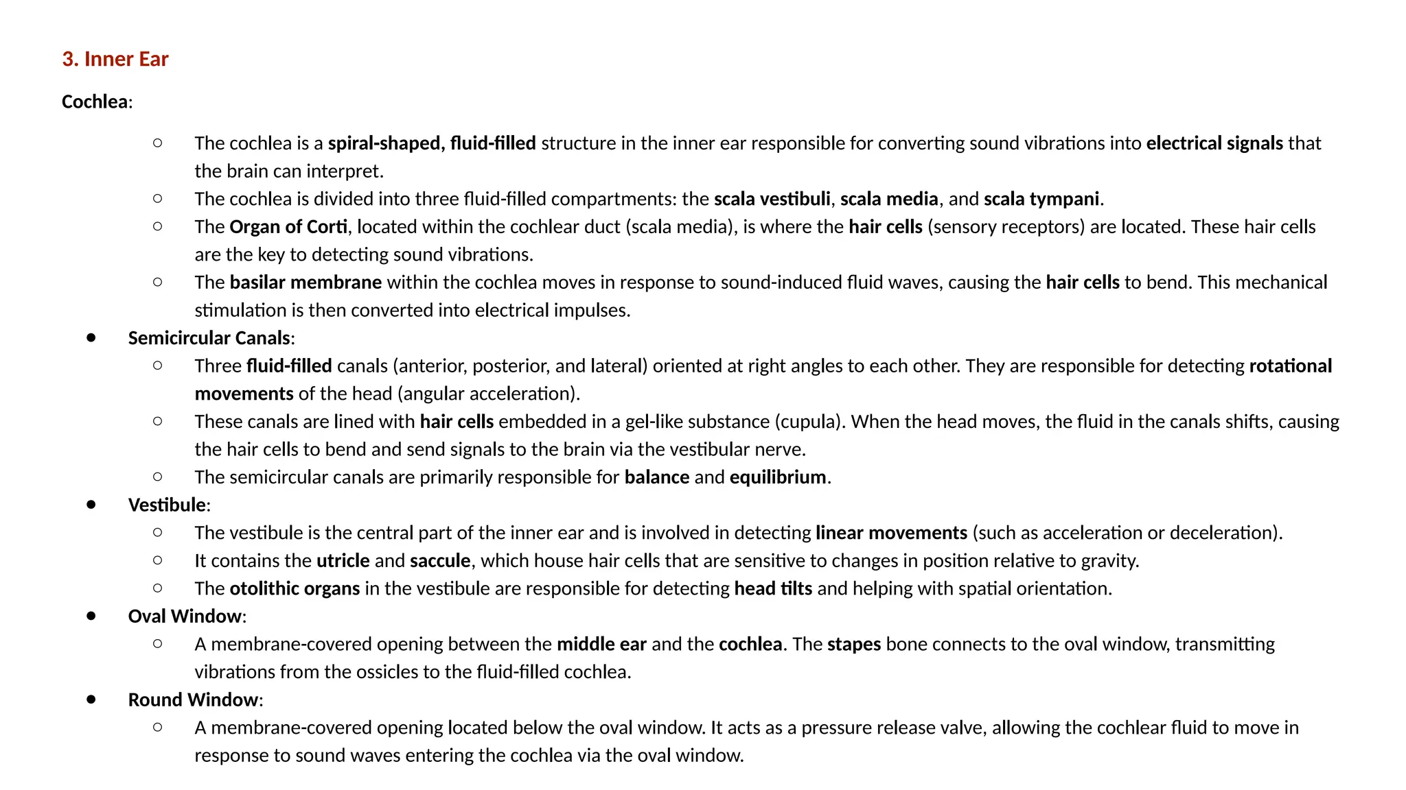 Understanding Ear Anatomy and Physiology: Structure, Function, and the ...