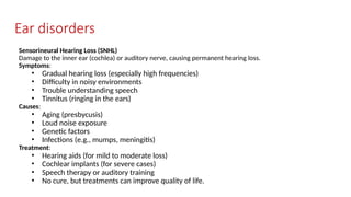 Understanding Ear Anatomy and Physiology: Structure, Function, and the ...