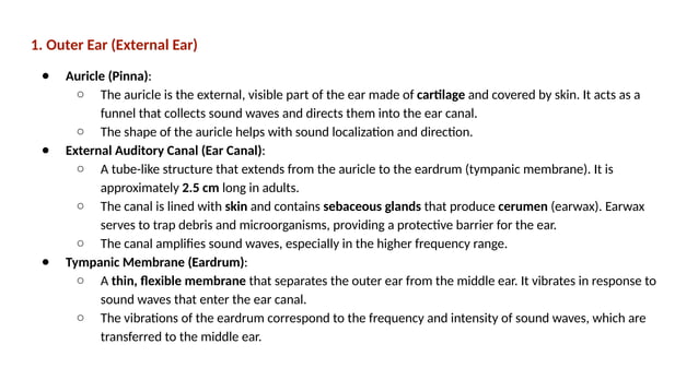 Understanding Ear Anatomy and Physiology: Structure, Function, and the Role of the Outer, Middle ...